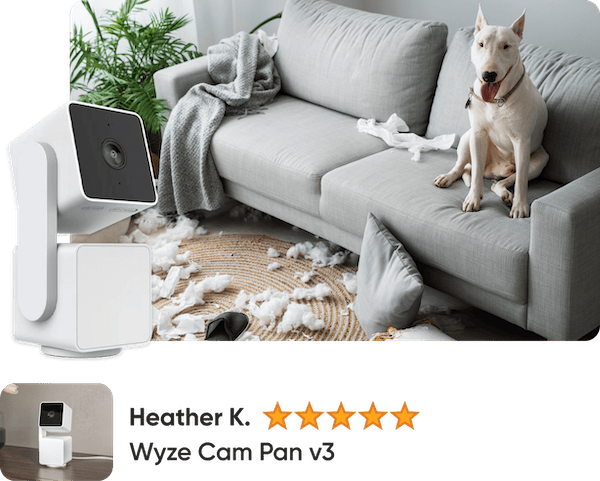 Wyze Canada | Smart Home Security Cameras & Devices – Wyze Labs, Inc ...